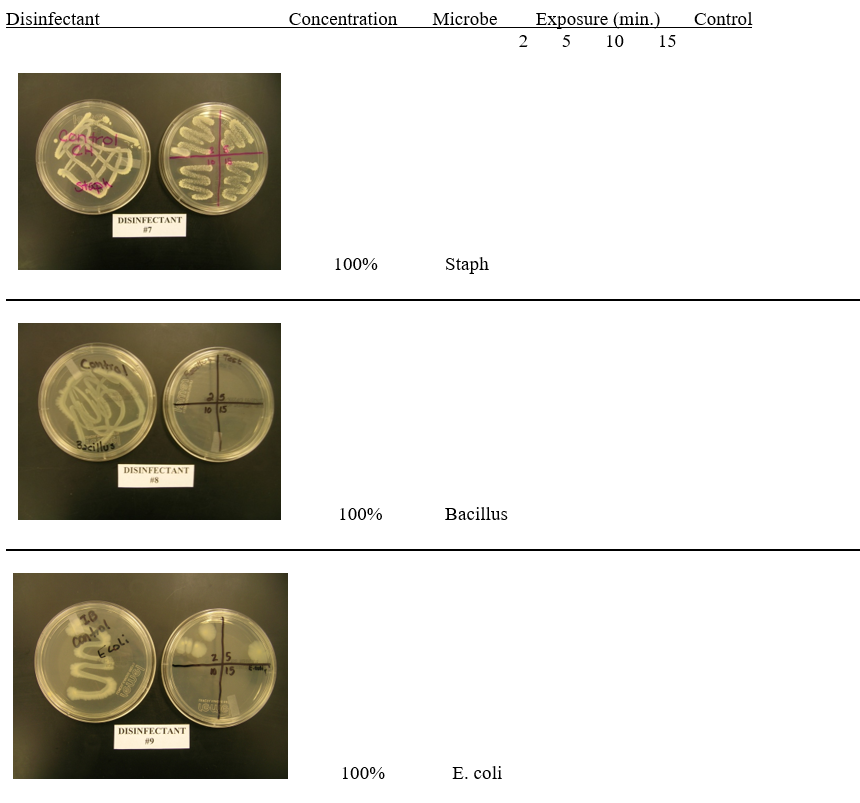 Observe all nutrient agar plates for growth. | Chegg.com