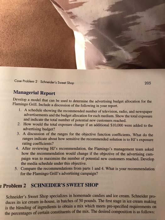 Solved Case Problem1 PLANNING AN ADVERTISING CAMPAIGN The | Chegg.com