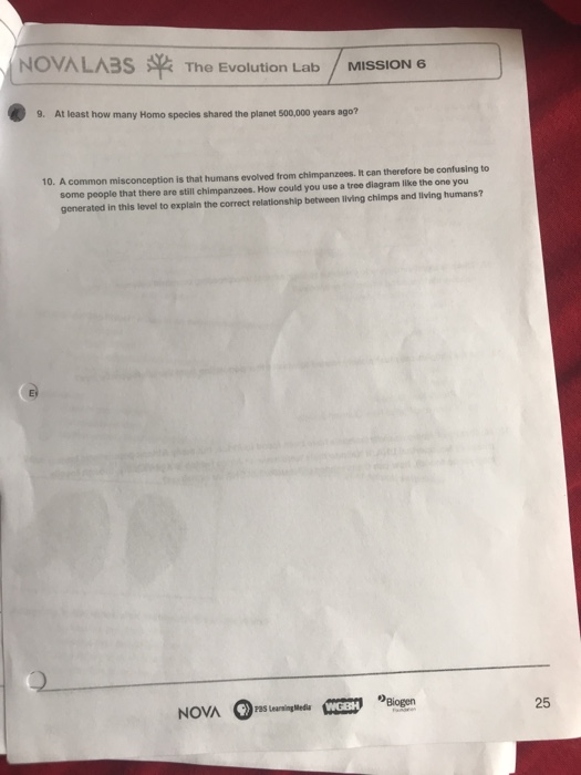 Solved I NOV^ LABS The Evolution Lab / MISSION 6 9. At least | Chegg.com