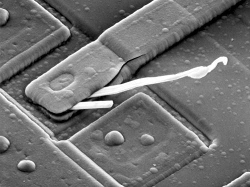 Solved 1) Write a Matlab code to apply highpass laplacian | Chegg.com