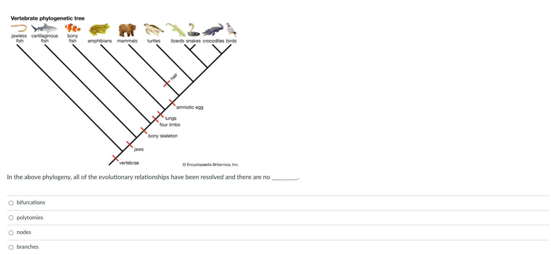 Solved Can someone please help me with these two | Chegg.com