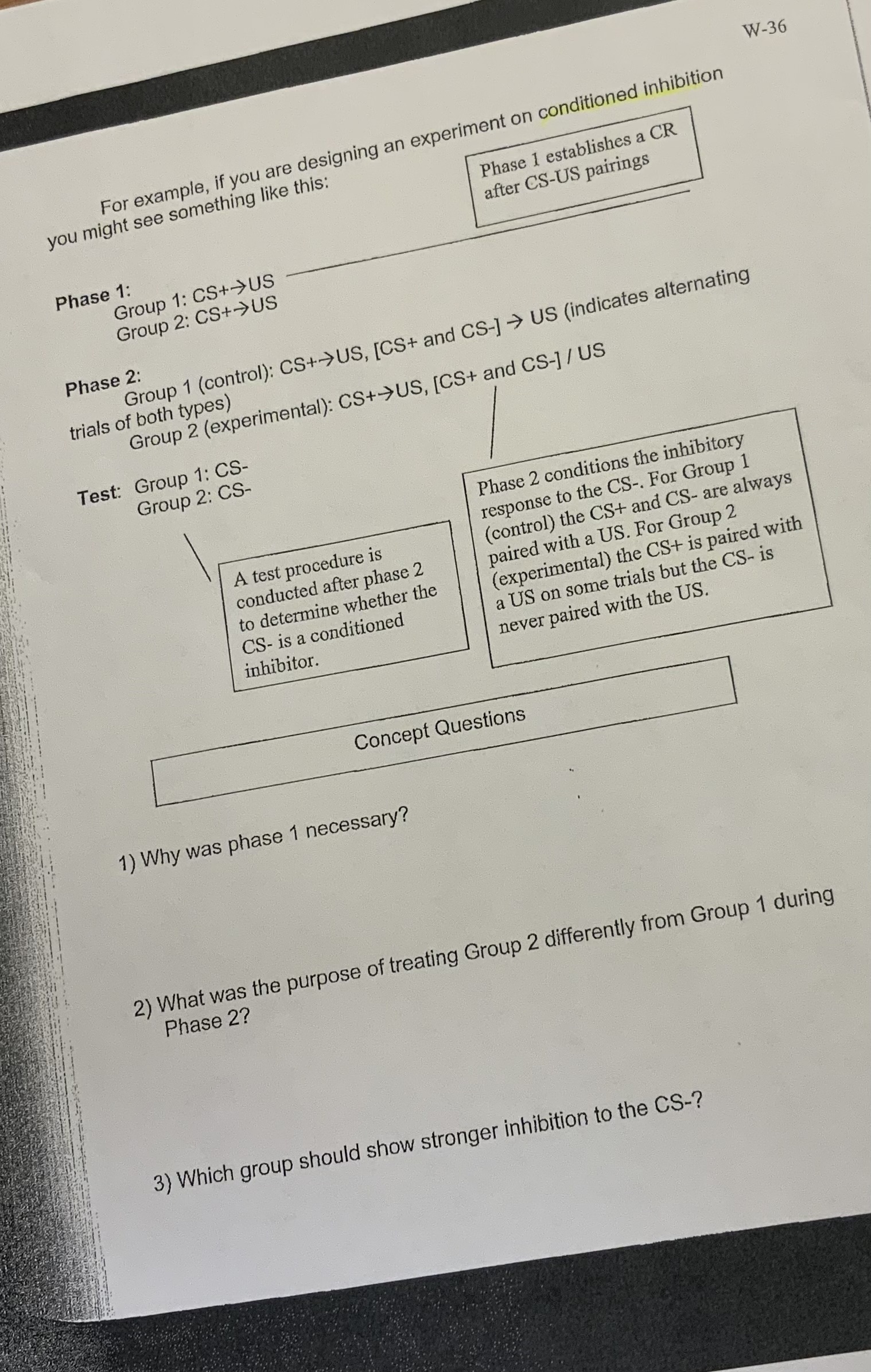 Solved 1) Why was phase 1 necessary? 2) What was the purpose | Chegg.com