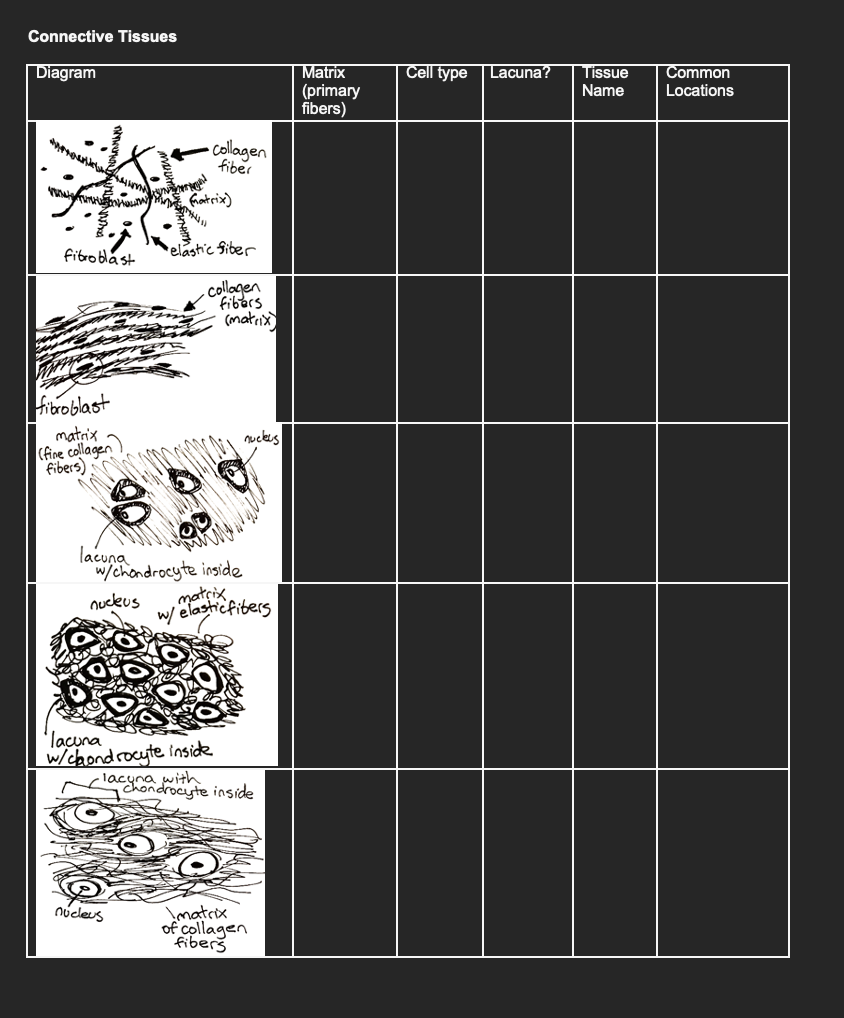 Solved Connective Tissues Diagram Cell type Lacuna? Matrix | Chegg.com