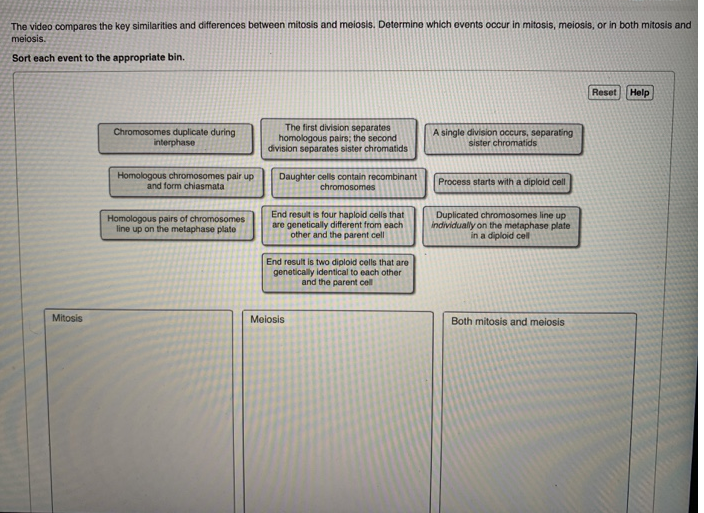 Solved: The Video Compares The Key Similarities And Differ... | Chegg.com
