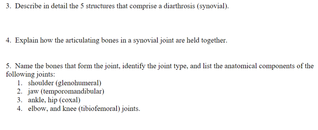 Solved 3. Describe in detail the 5 structures that comprise | Chegg.com