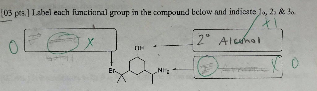 Solved Label each functional group in the compound below and | Chegg.com