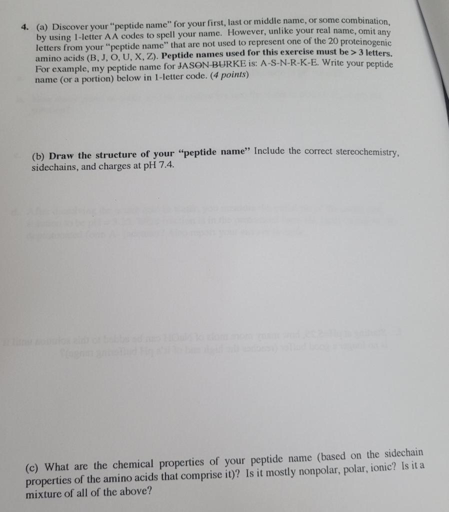 Solved 4. (a) Discover your "peptide name" for your first, | Chegg.com