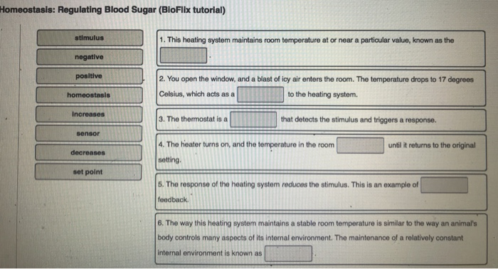 Solved Homeostasis: Regulating Blood Sugar (BioFlix | Chegg.com