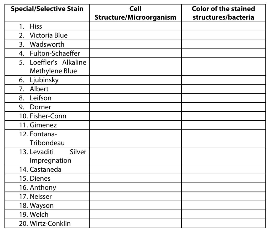 Solved Special/Selective Stain Cell Structure/Microorganism | Chegg.com