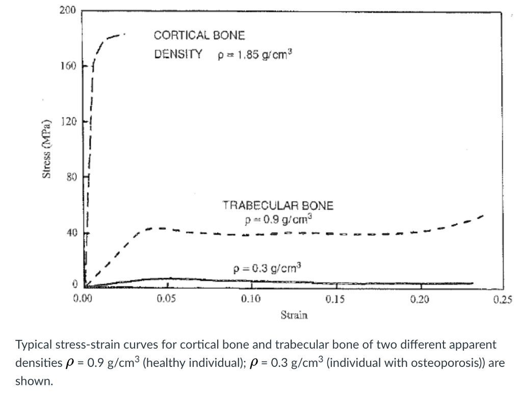 Solved 200 CORTICAL BONE DENSITY ρ= 1.85g/cm3 160 120 80 | Chegg.com