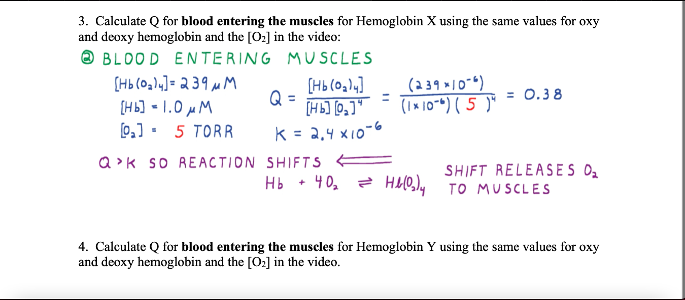 Solved Hb exists in equilibrium in two forms: deoxy | Chegg.com