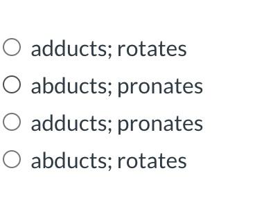 Solved The indicated muscle and the scapula. 11 O adducts; | Chegg.com