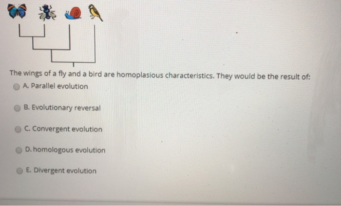 Solved The wings of a fly and a bird are homoplasious | Chegg.com