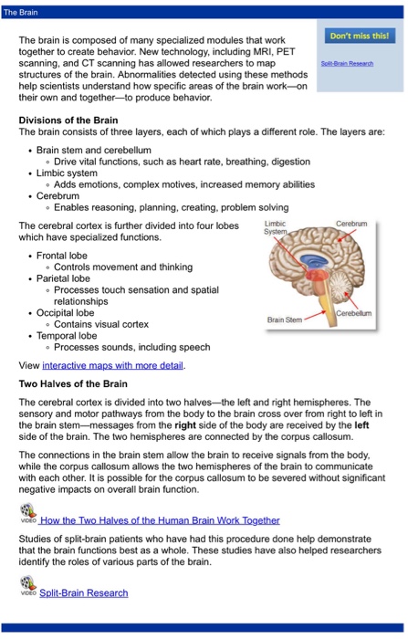 Solved What role does the brain play in the study of | Chegg.com