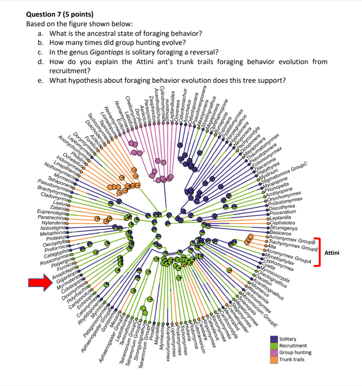 Solved Question 7 (5 points) Based on the figure shown | Chegg.com