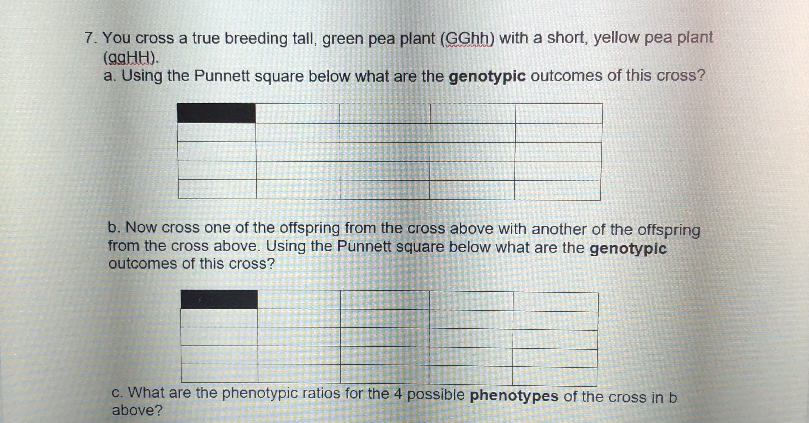 Solved 7. You cross a true breeding tall, green pea plant | Chegg.com