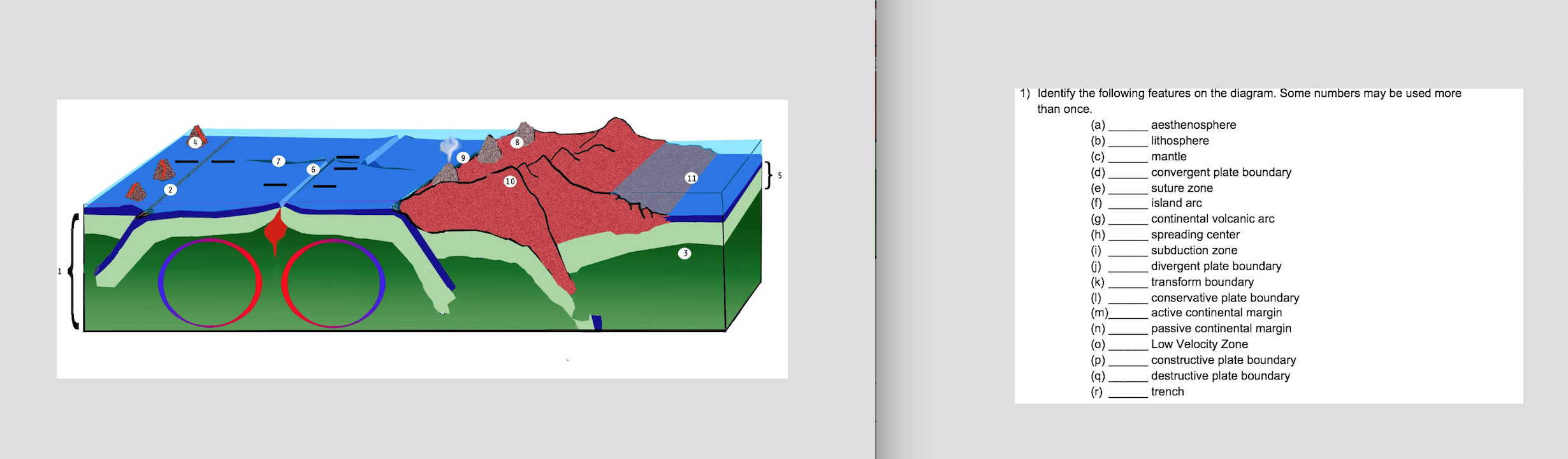 Solved 11 1) Identify the following features on the diagram. | Chegg.com
