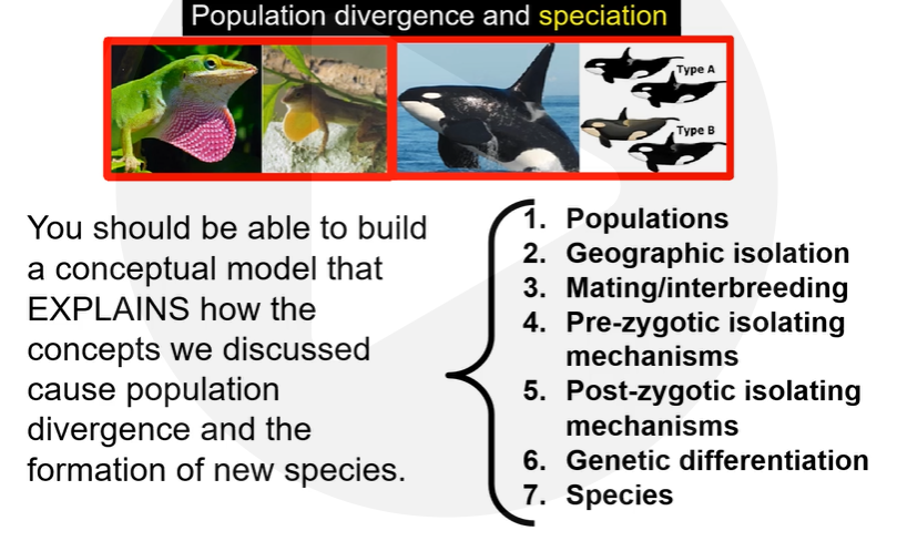 Solved Population divergence and speciation You should be | Chegg.com
