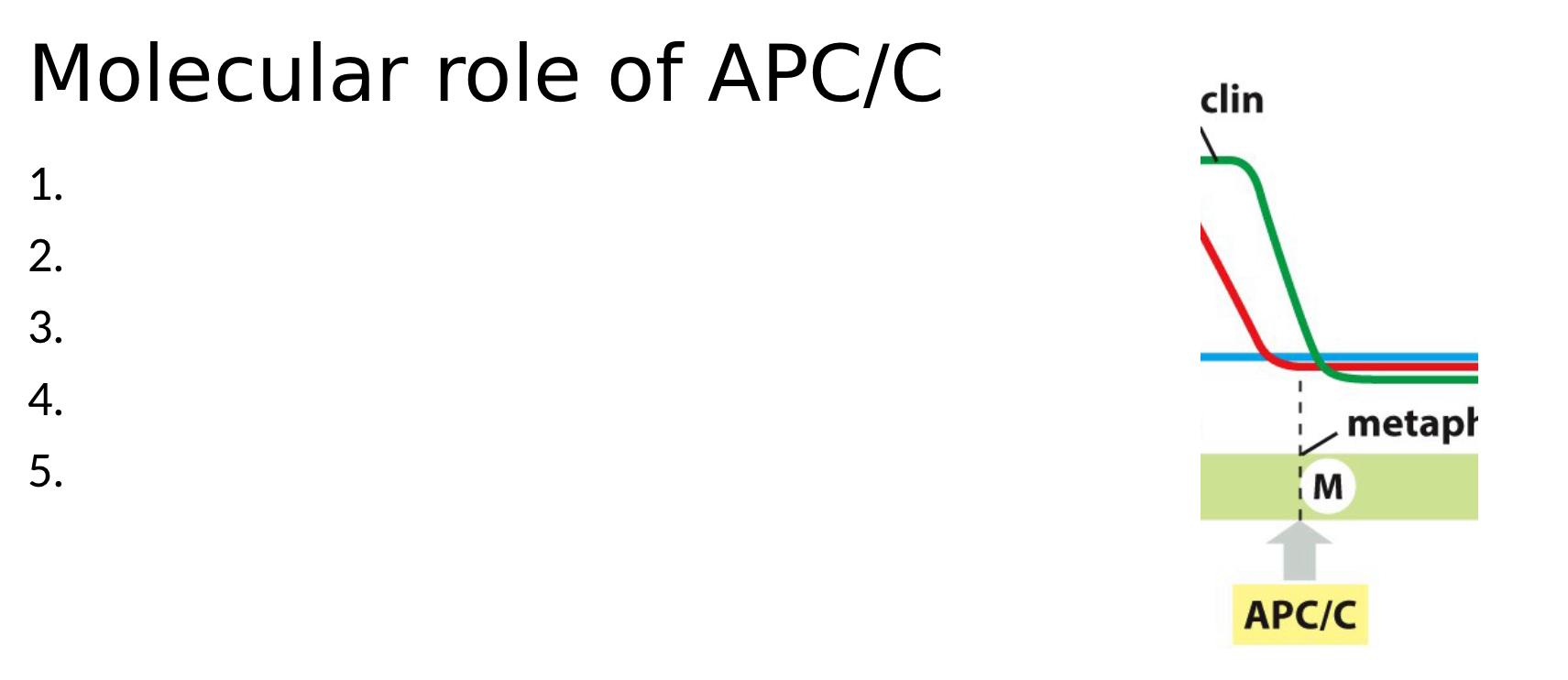 Solved Molecular role of APC/C 1. 2. 3. 4. 5. | Chegg.com