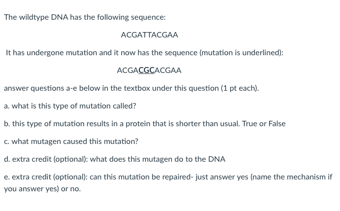 Solved The wildtype DNA has the following sequence: | Chegg.com