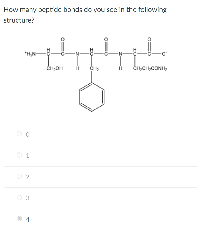Solved How many peptide bonds do you see in the | Chegg.com