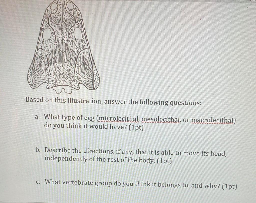 Solved Based on this illustration, answer the following | Chegg.com