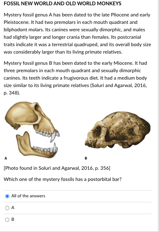 Solved PLESIADAPIFORMS In 2002, researchers reported the | Chegg.com