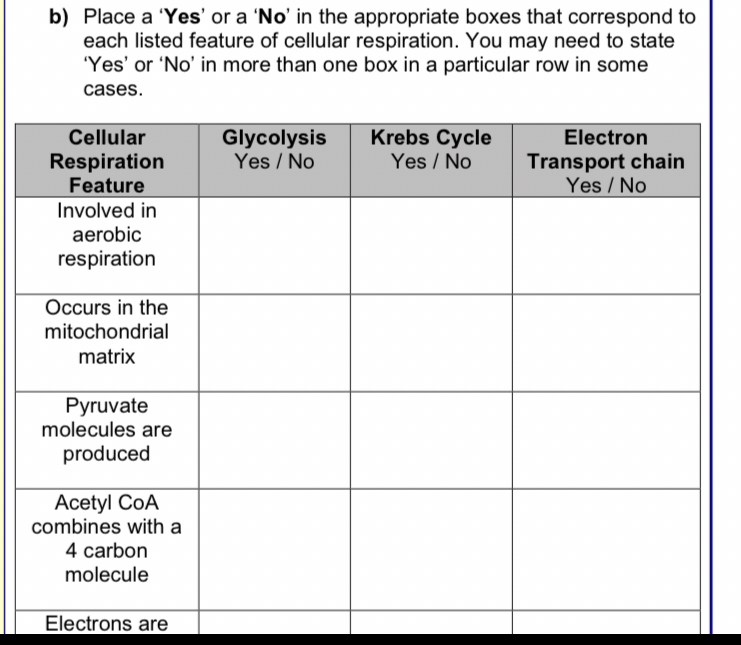 Solved b) Place a 'Yes' or a 'No' in the appropriate boxes | Chegg.com