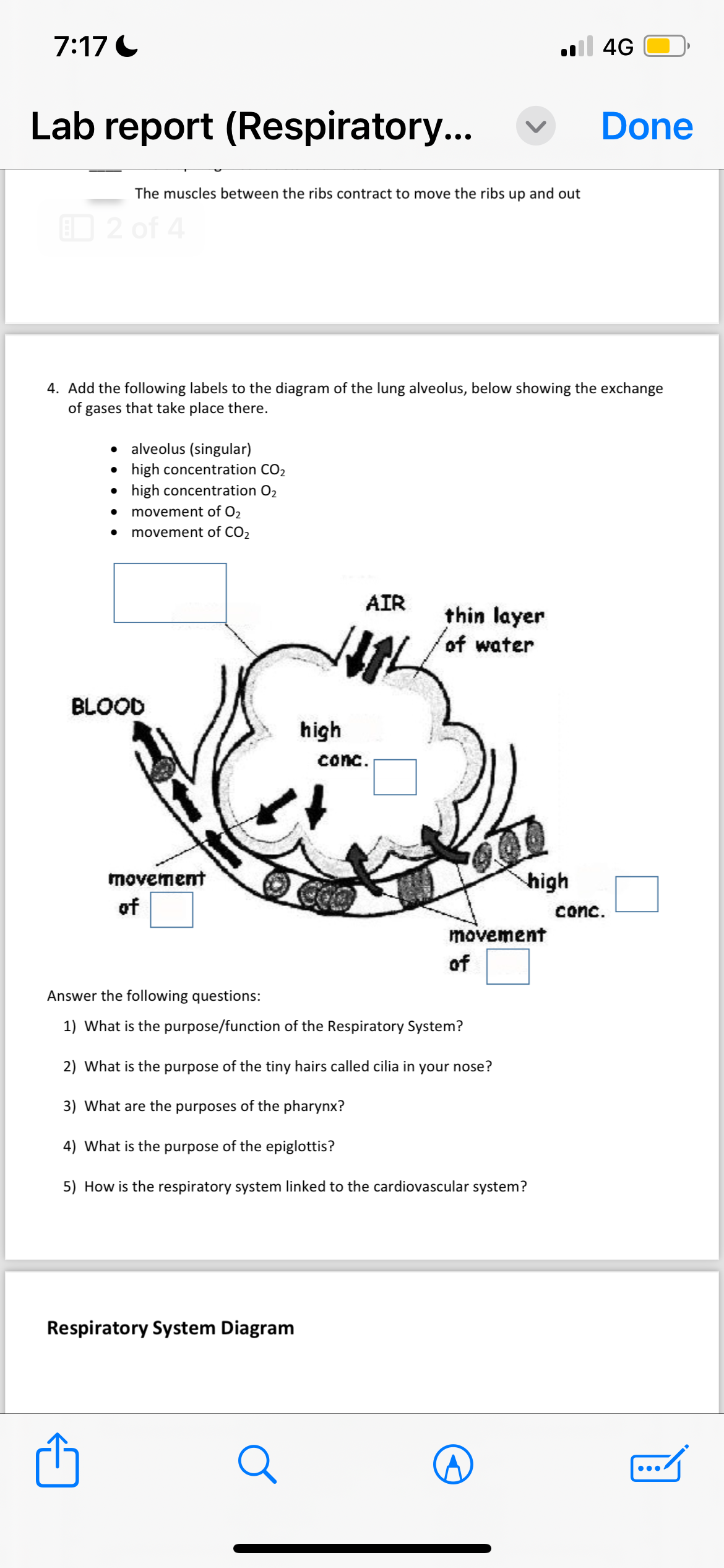 7:17 ﻿C4GLab report (Respiratory...DoneThe muscles | Chegg.com