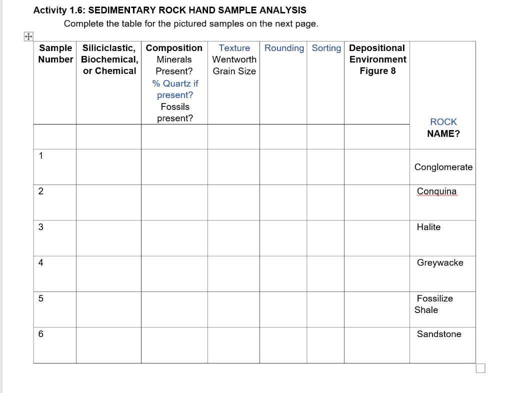 Solved Activity 1.6: SEDIMENTARY ROCK HAND SAMPLE ANALYSIS | Chegg.com