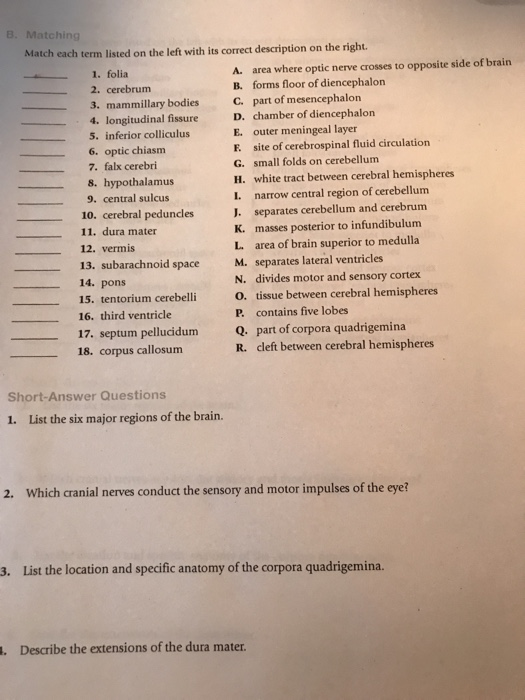 Solved B. Matching Match each term listed on the left with | Chegg.com