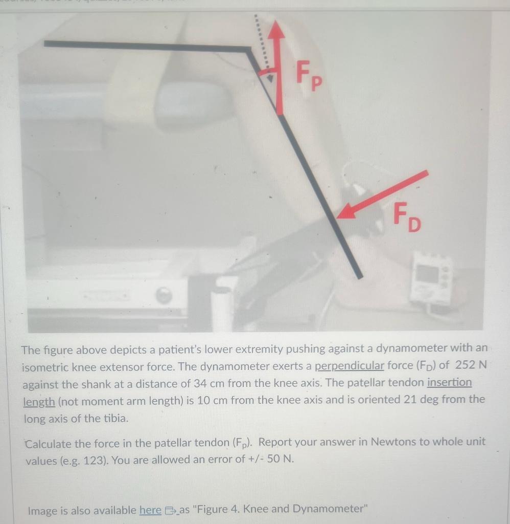 Solved The figure above depicts a patient's lower extremity | Chegg.com