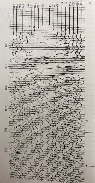 Solved Figure illustrates a center shot, wiggle trace | Chegg.com