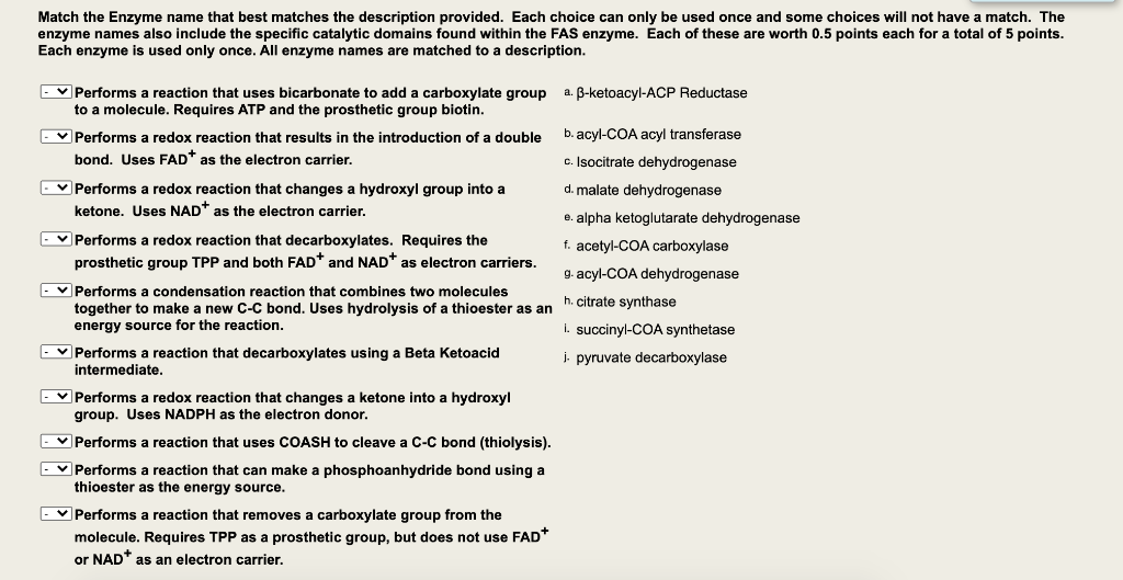 Solved Match the Enzyme name that best matches the | Chegg.com