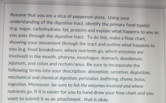 Solved Assume that you are a slice of pepperoni pizza. Using | Chegg.com
