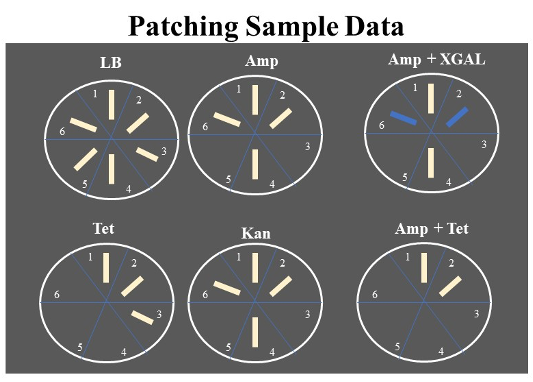 Solved In a publishable table format, present the complete | Chegg.com