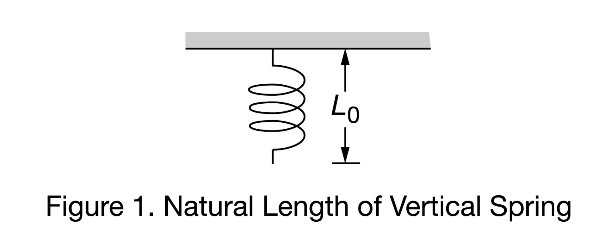 Solved lll LO Figure 1. Natural Length of Vertical Spring | Chegg.com