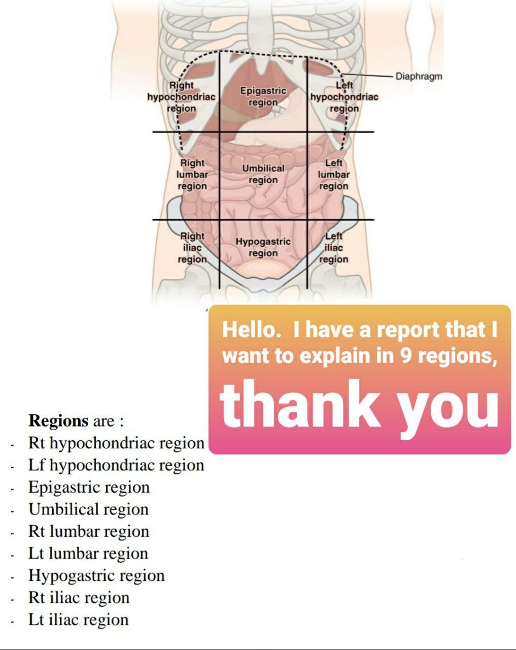 Solved Diaphragm Right hypochondriac region Epigastric | Chegg.com
