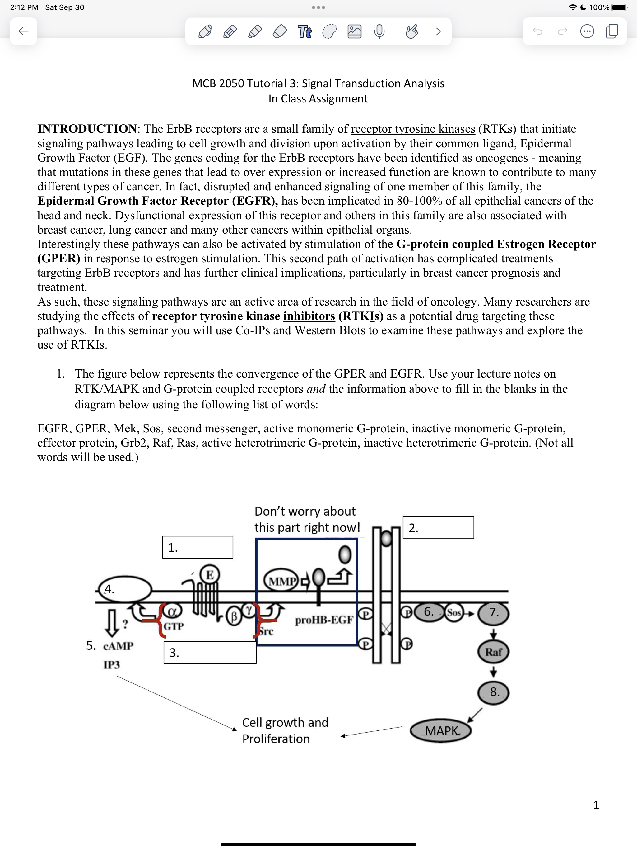 Solved MCB 2050 Tutorial 3: Signal Transduction Analysis In | Chegg.com