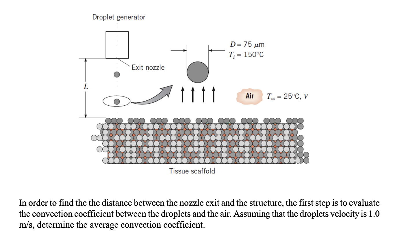 Tissue engineering involves the development of | Chegg.com