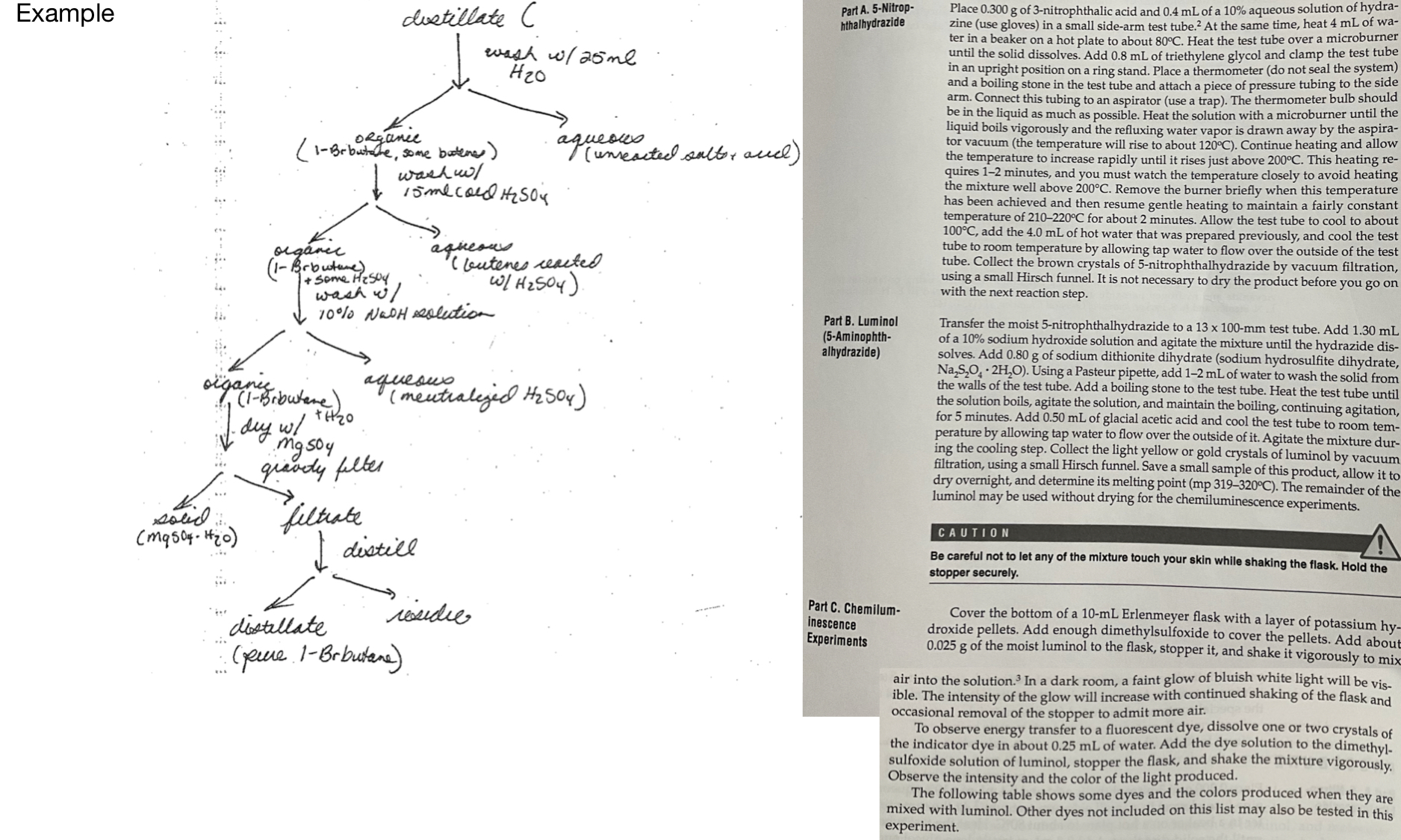 Solved Draw a procedure scheme for the following experiment | Chegg.com