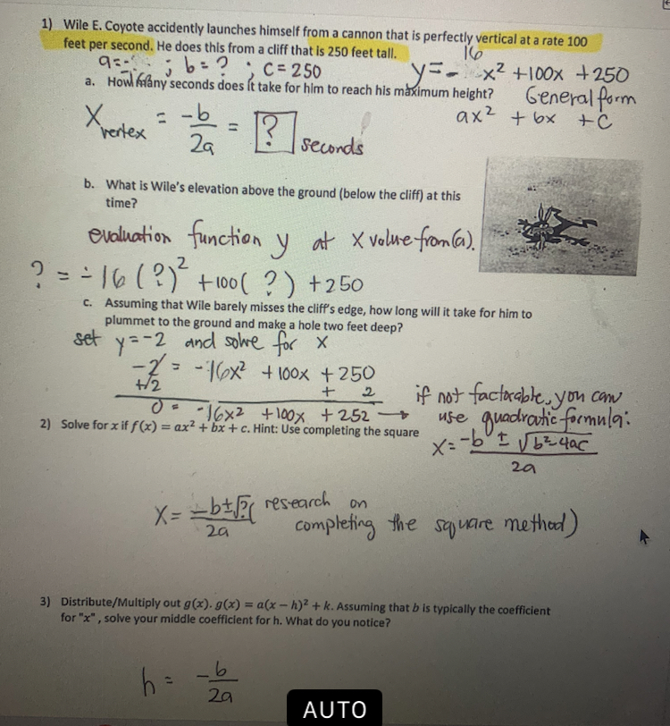 Solved MAT 171 Unit 3 Projec....pdf Wile E. Coyote | Chegg.com