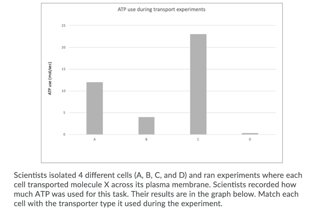 Solved ATP use during transport experiments ATP use | Chegg.com