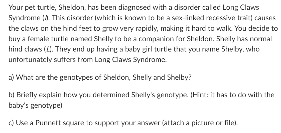 Solved Your pet turtle, Sheldon, has been diagnosed with a | Chegg.com