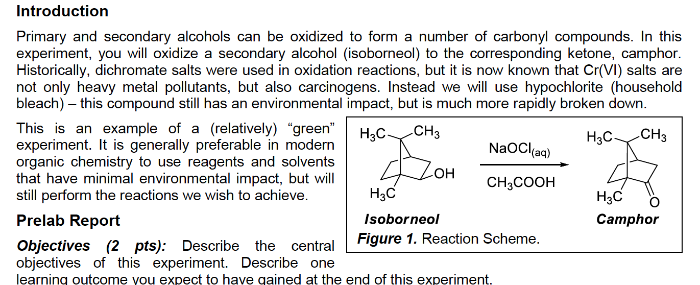 Solved: 1. Difference Between Reaction Isoborneol --> Camp... | Chegg.com
