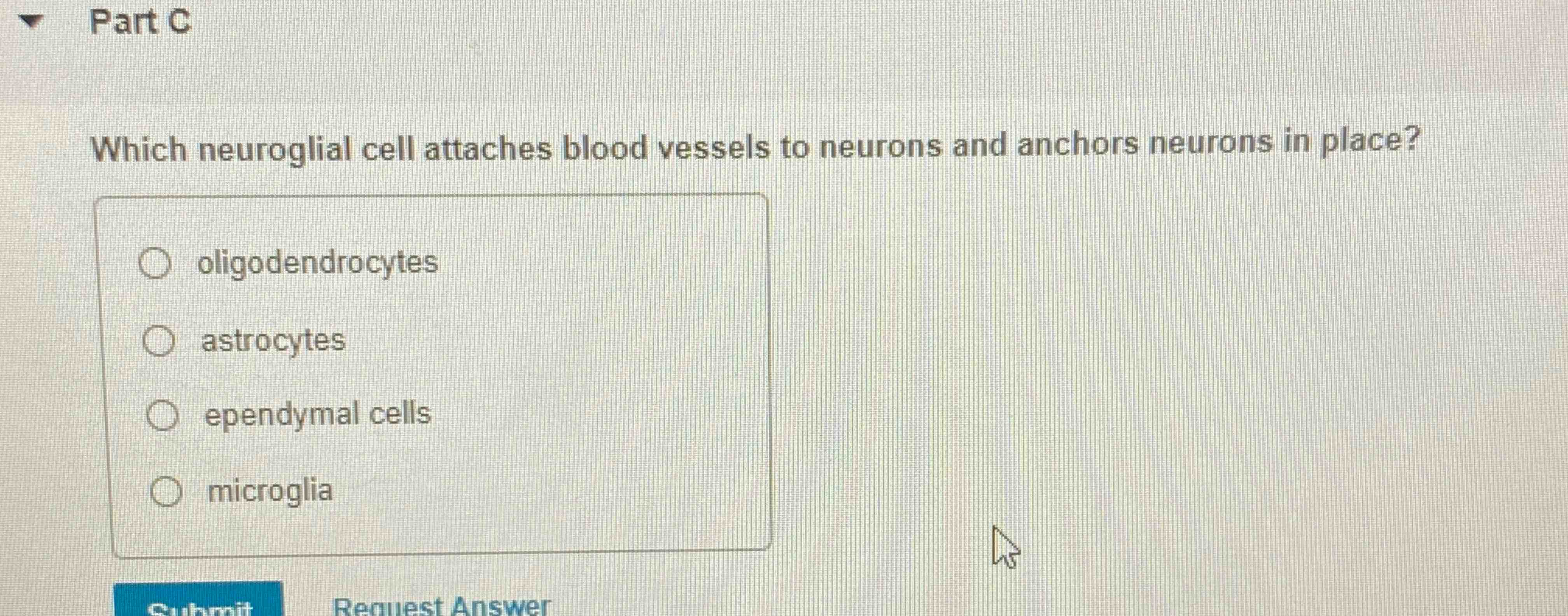 Solved Part CWhich neuroglial cell attaches blood vessels to | Chegg.com