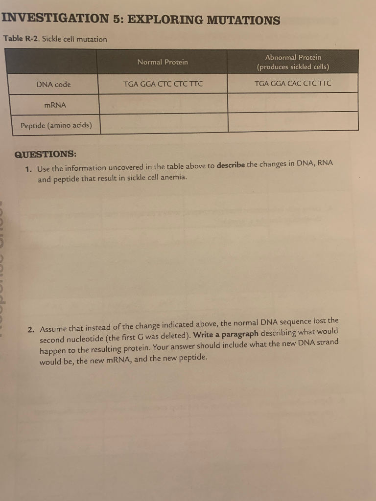 Solved INVESTIGATION 5: EXPLORING MUTATIONS Table R-2. | Chegg.com