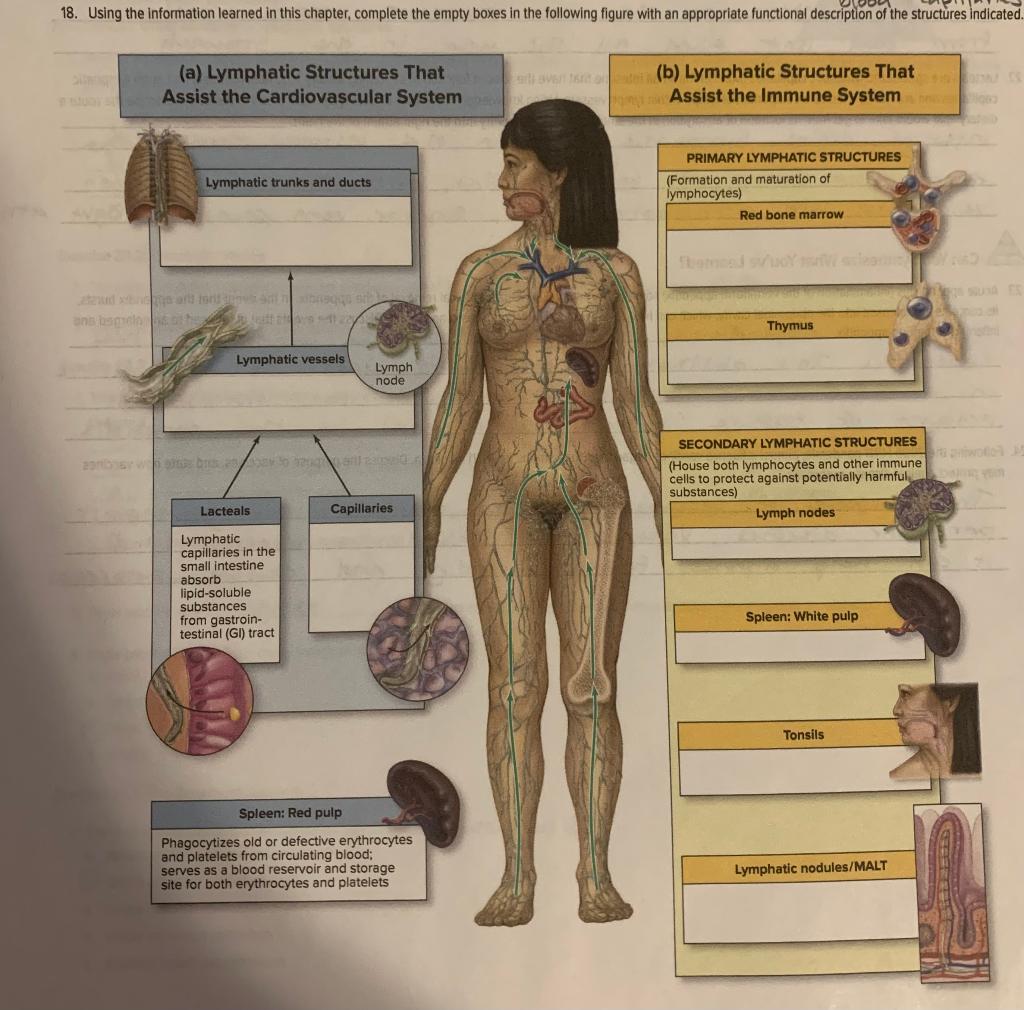 Solved Using the information learned in this chapter, | Chegg.com