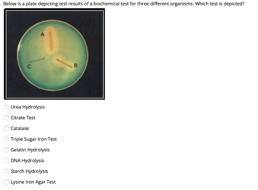 Solved Below is a plate depicting test results of a | Chegg.com