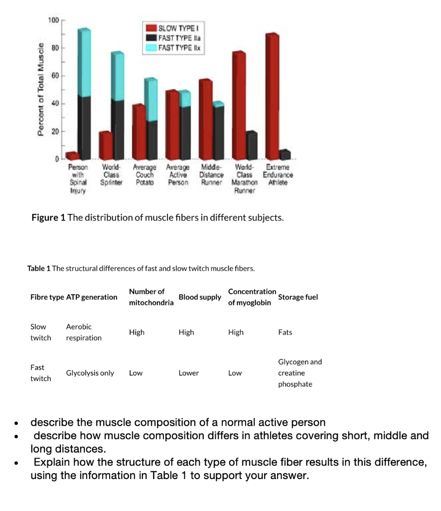 Solved 100 SLOW TYPE FAST TYPE lla FAST TYPE IIX 80 60 | Chegg.com